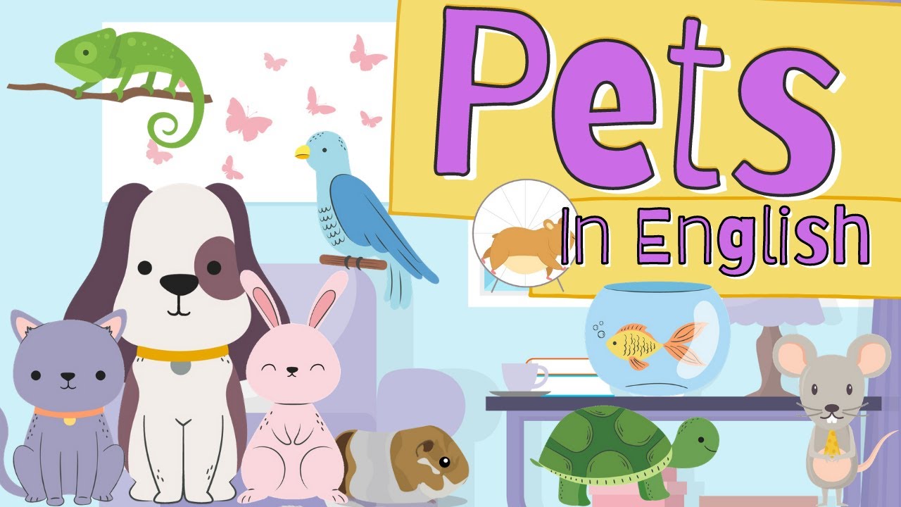 Pet animals | Learn english words | Pets flashcards | Learn pet names ...