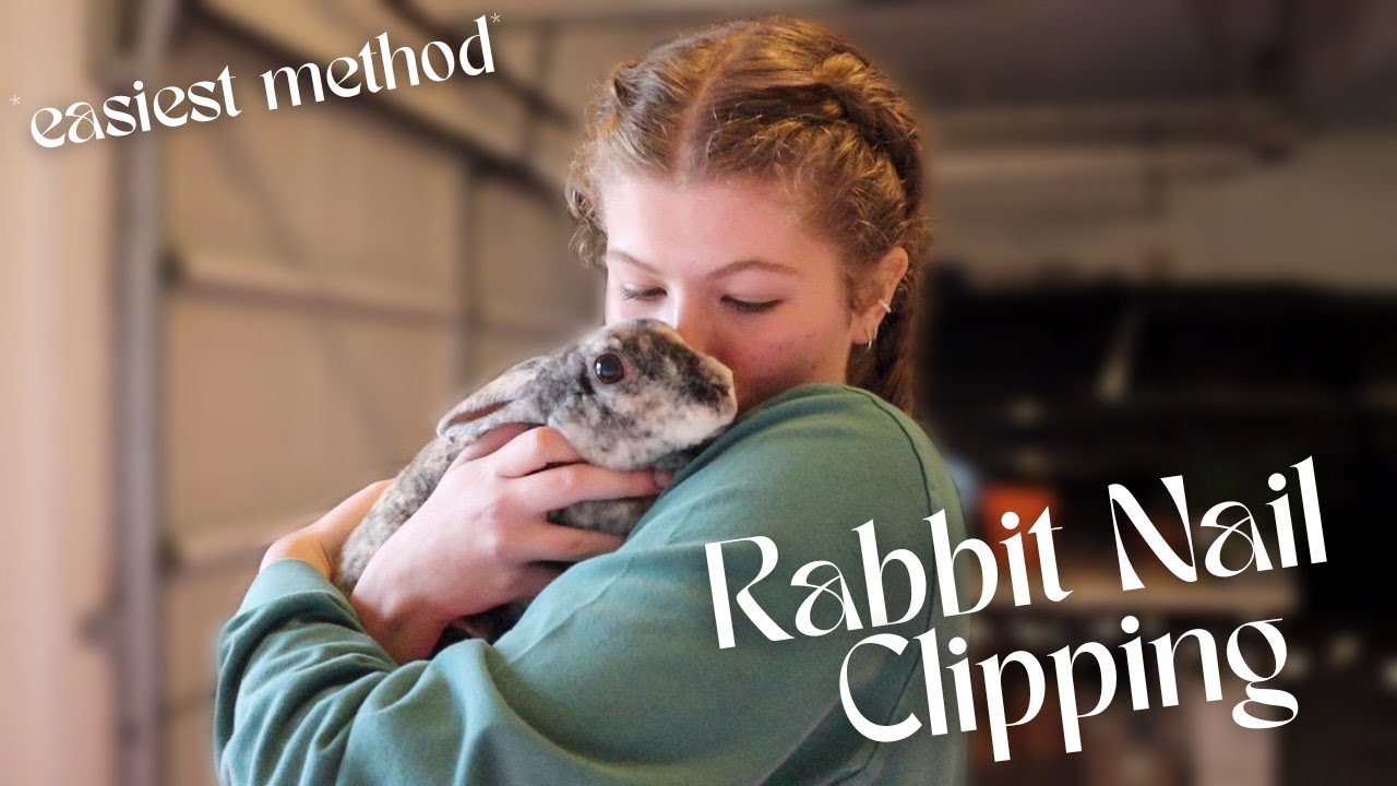 The EASIEST Way to Clip Rabbit Nails - YouTube