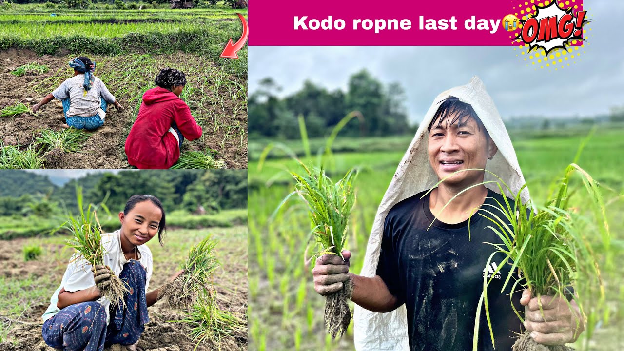 gauma pani parda pani kodo ropai chaldaixa hai Hamro tira😱😍 - YouTube