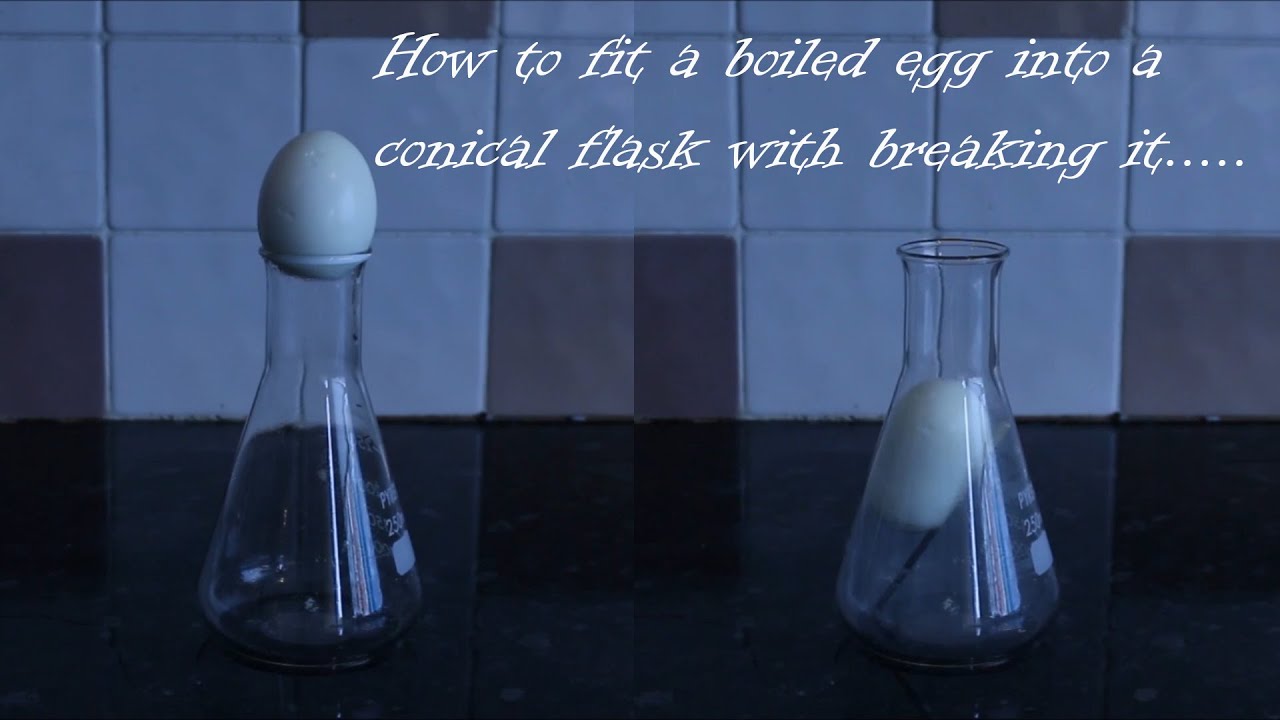 How to fit a boiled egg into a conical flask without breaking it ...