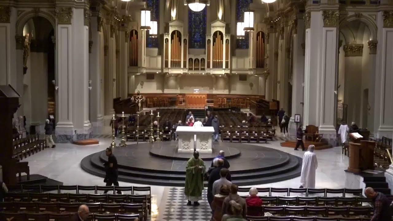 Catholic Daily 8:00am Mass at St. James Cathedral, Seattle - YouTube