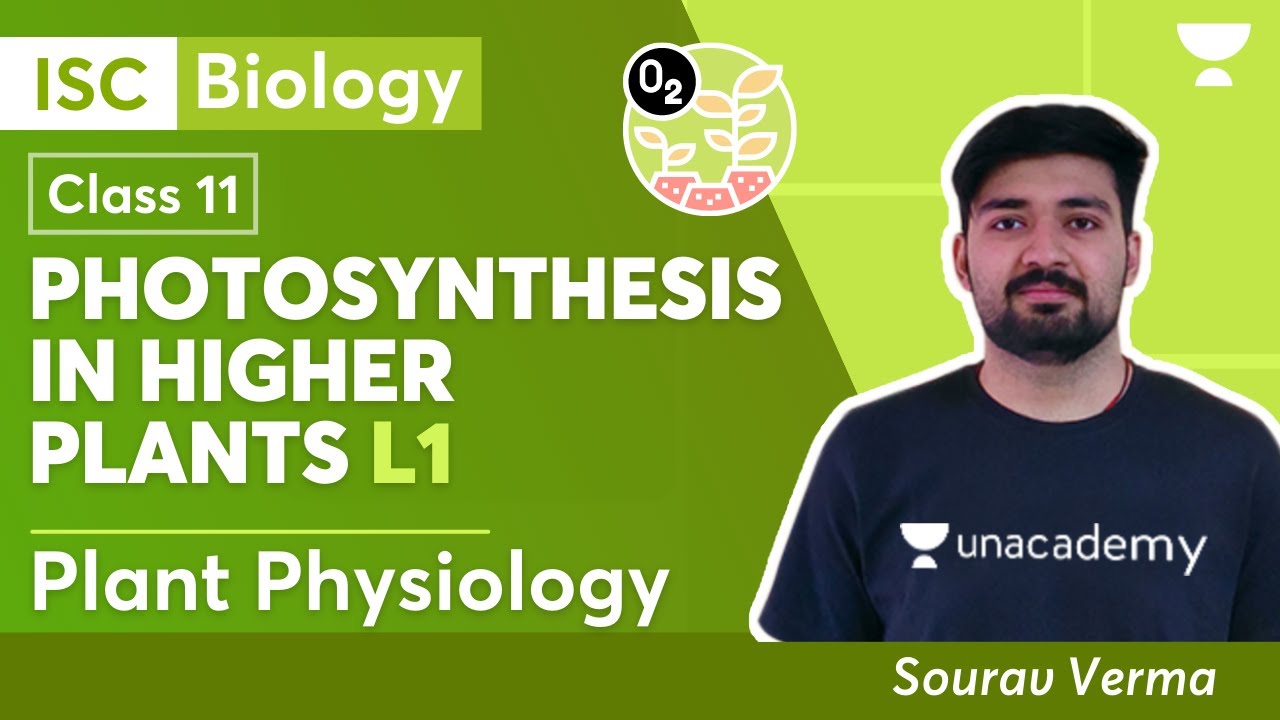 Photosynthesis In Higher Plants | Plant Physiology | L1 | ISC Class 11 ...