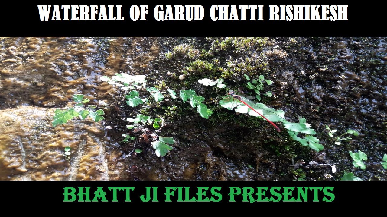 Waterfall Of Garud Chatti Rishikesh (गरुड़ चट्टी ) full masti.... - YouTube