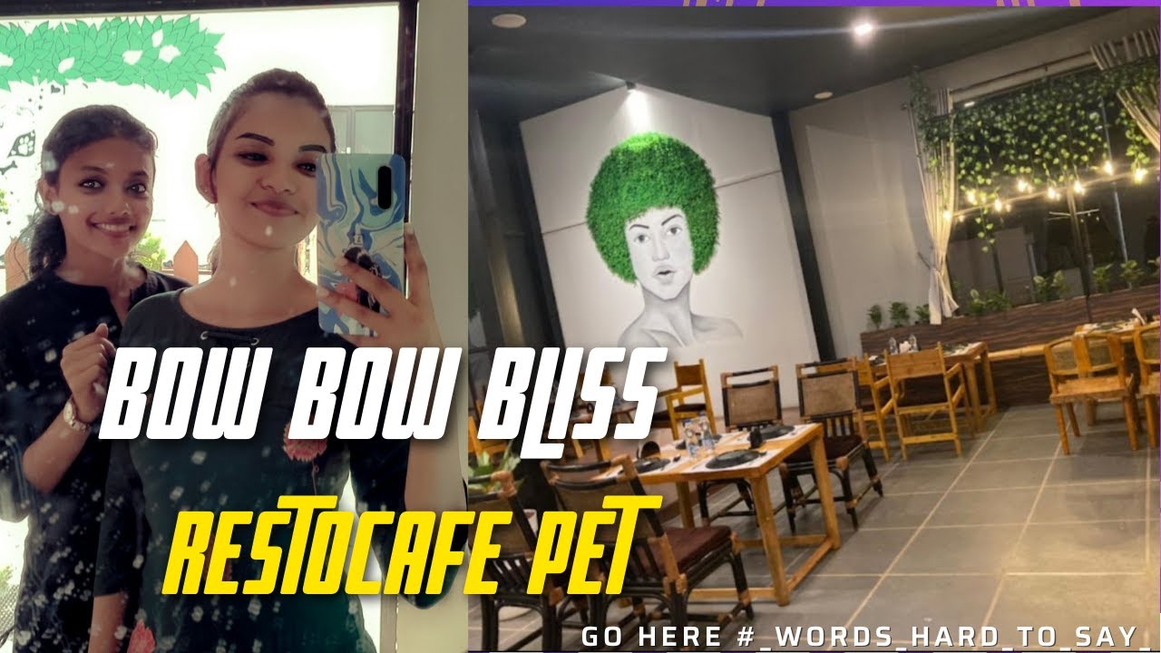 Bow Bow Bliss- A Pet-Themed Restaurant and Cafe | Tamil - YouTube
