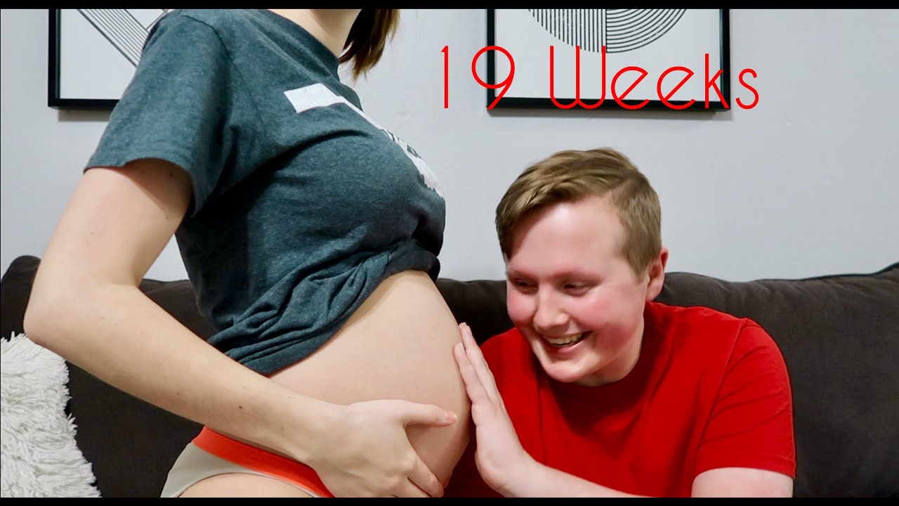 Pregnancy Update 19 Weeks Youtube