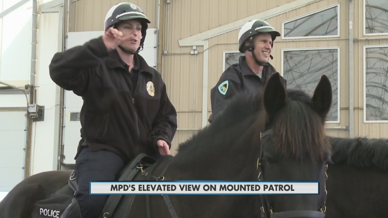 Mounted patrol helps Madison Police Department - YouTube
