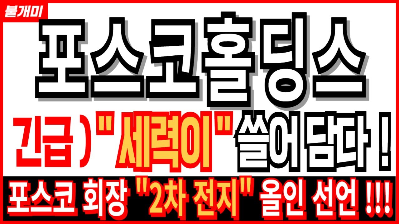 포스코홀딩스 긴급 세력이 쓸어담다 포스코회장 2차전지 올인 선언 2차전지 양극재 포스코퓨처엠