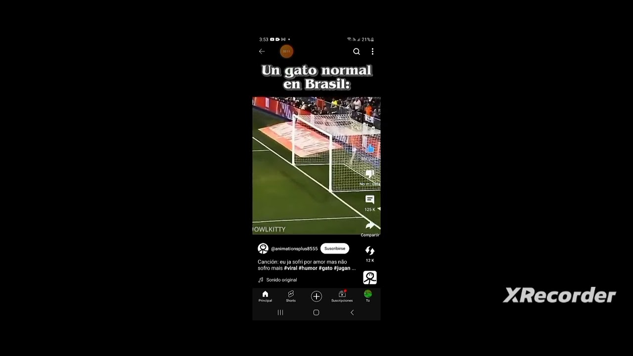 un gato normal en el futbol⚽️⚽️⚽️ - YouTube