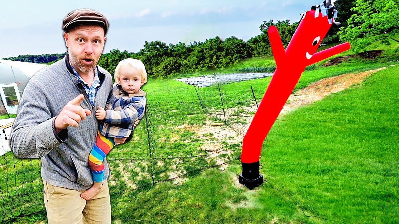 Can TUBE MAN Save Our Egg Supply? - YouTube