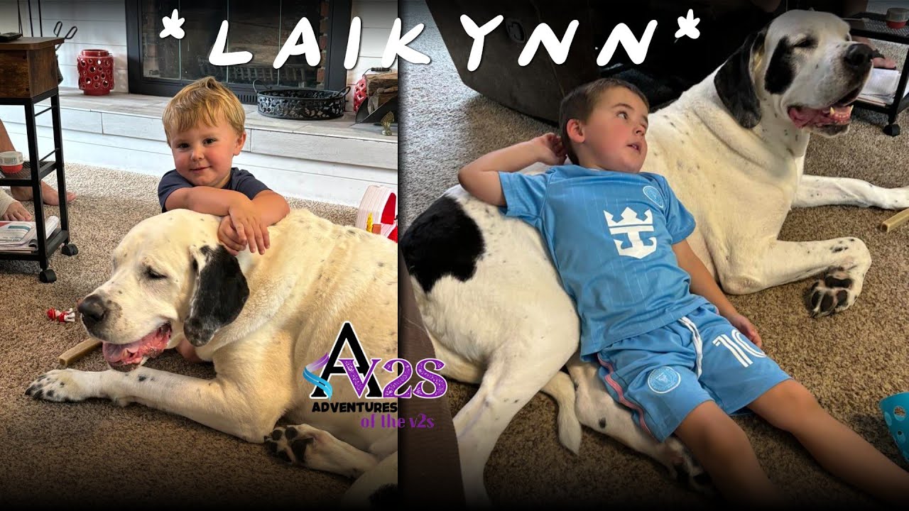 LAIKYNN Has VISITORS Who Could It BE | She Is One TIRED Doggie - YouTube