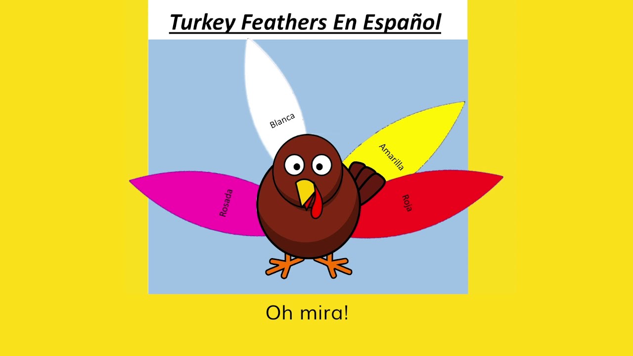 Turkey Feathers, Plumas de Pavo (2 Versiones en Español) - YouTube