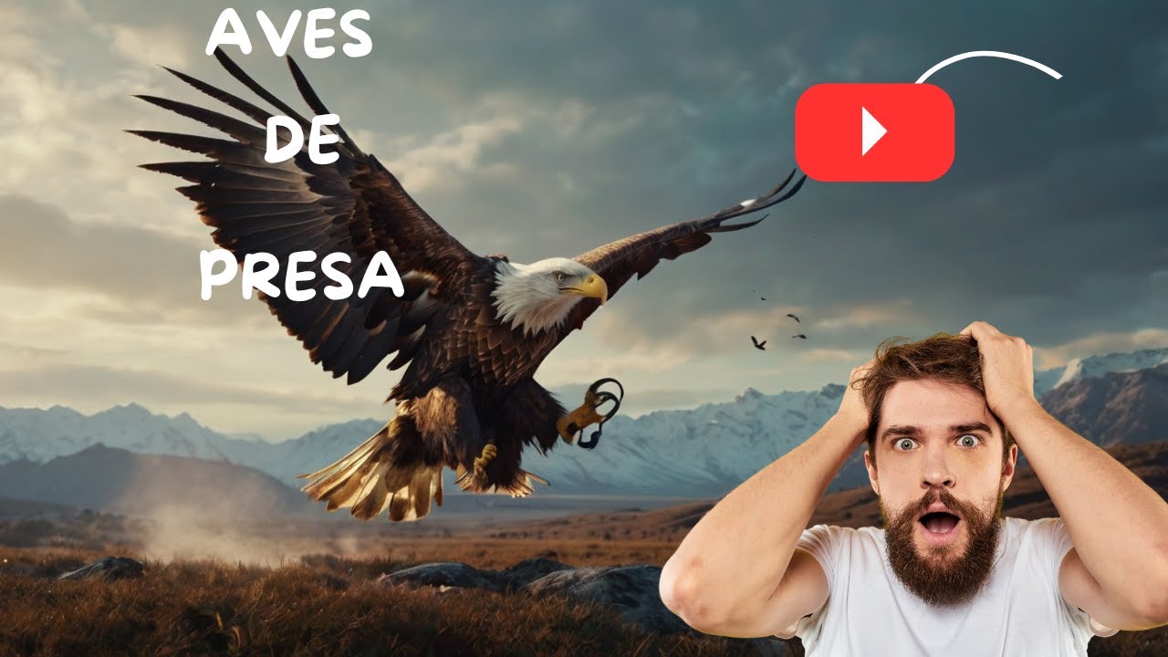 Aves de presa - YouTube