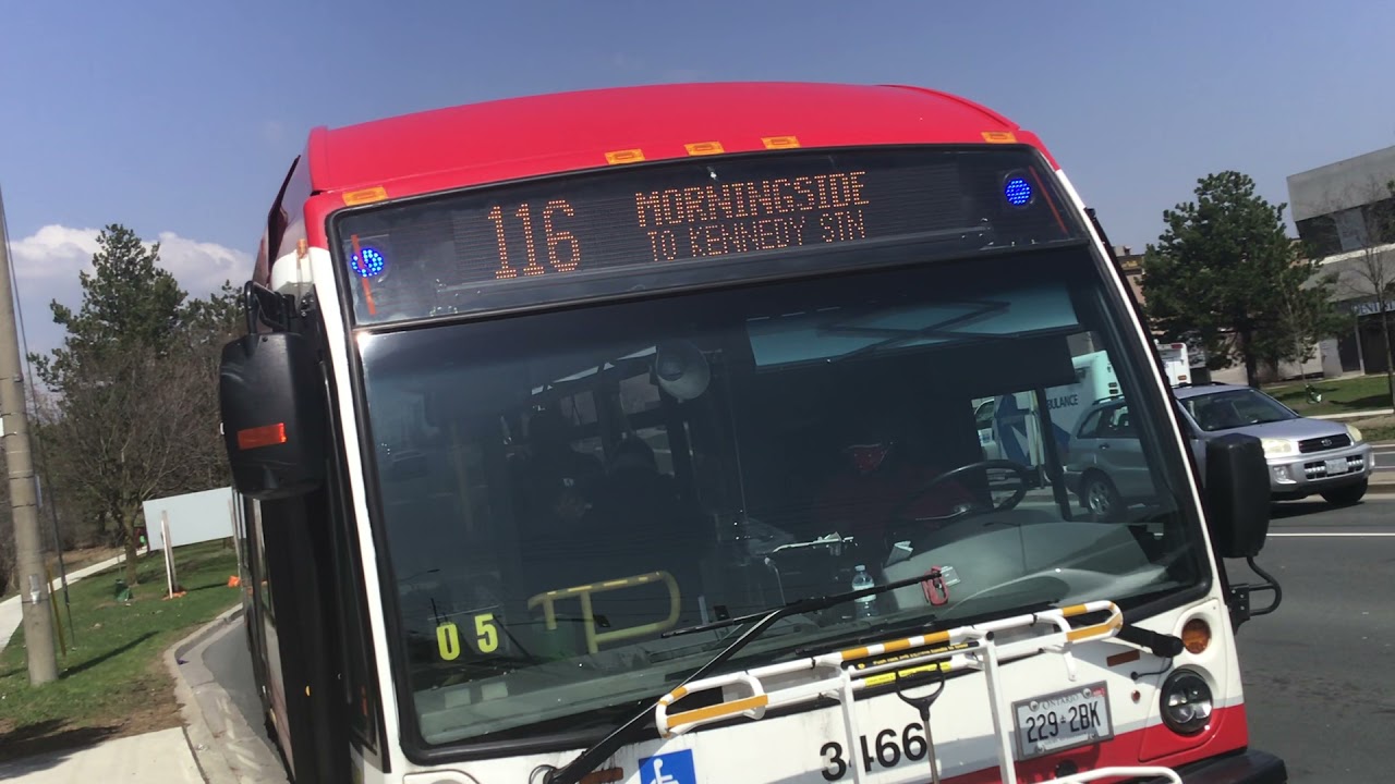 TTC 3466 Bus on route 116 MORNINGSIDE TO KENNEDY STATION - YouTube