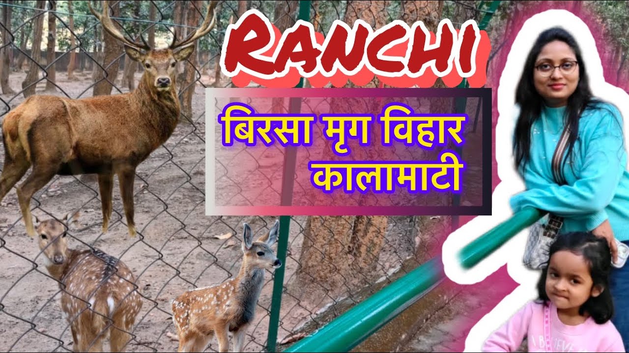 बिरसा मृग विहार || Deer Park Ranchi || - YouTube