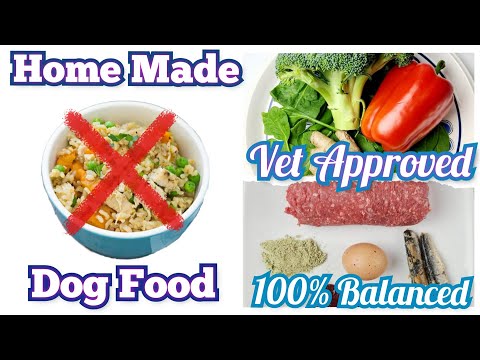 How To Make Homemade Dog Food For German Shepherds