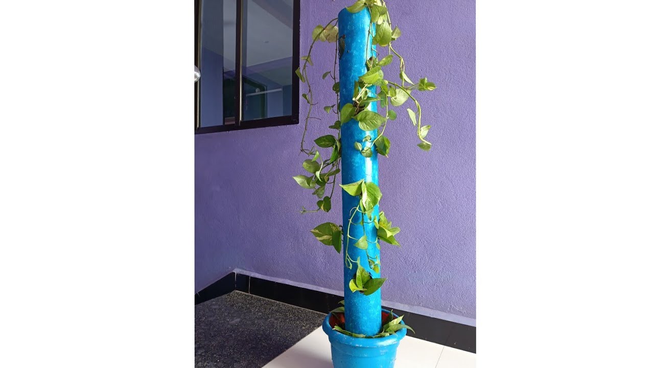 how to make vertical planter Tower from PVC pipe / PVC pipe planter for ...