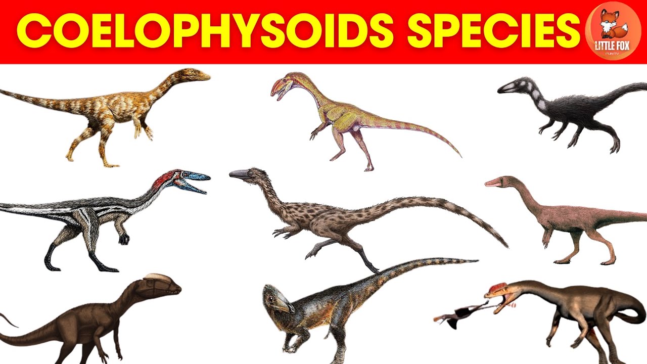 Meet the 🦖Coelophysoids Dinosaur Species Names in English for Kids# ...