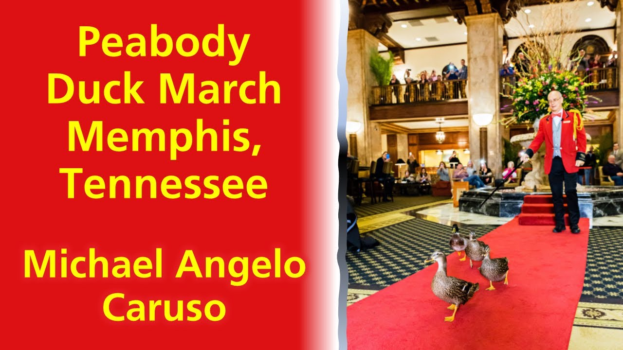 Duck march, Peabody Hotel in Memphis | Michael Angelo Caruso's "Speaker ...