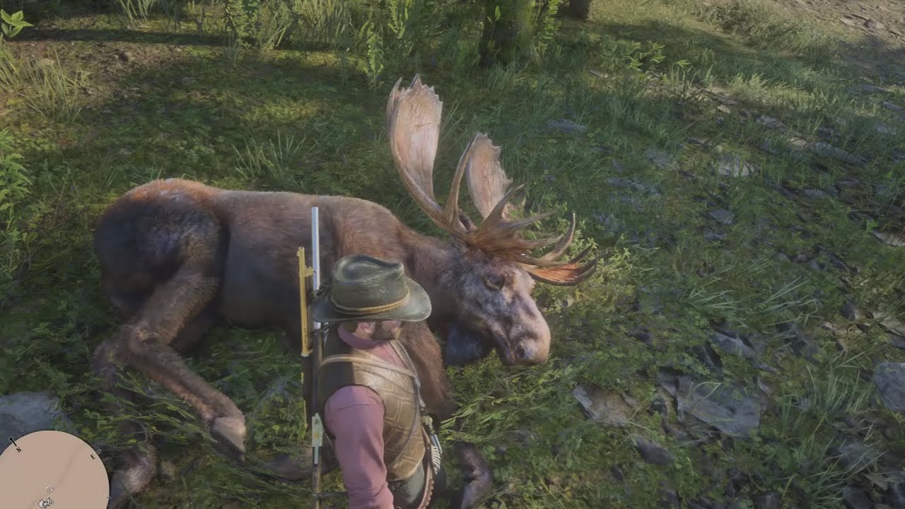 HUNTING RARE MOOSE 🫎 RDR2 - YouTube