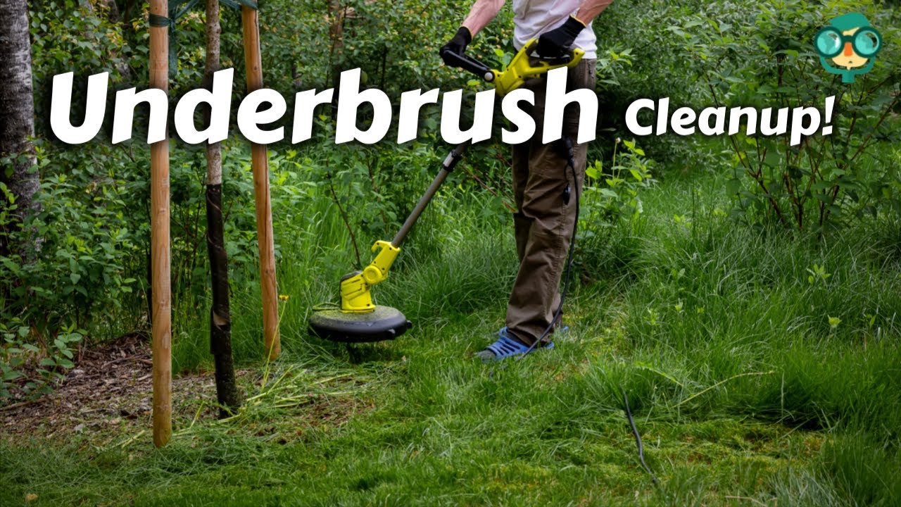 How to Clear Underbrush || Clearing Overgrown Land || Under Brushing ...