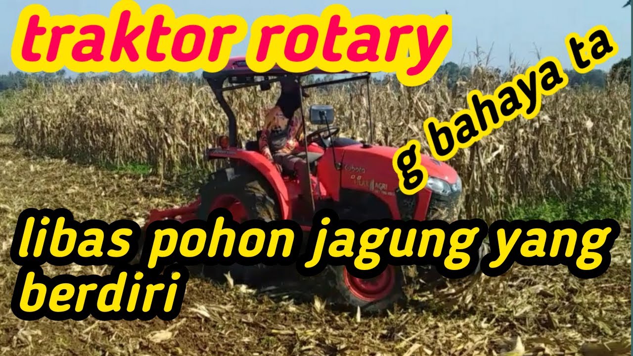 Traktor rotary menggemburkan lahan bekas tanam jagung dengan cepat ...
