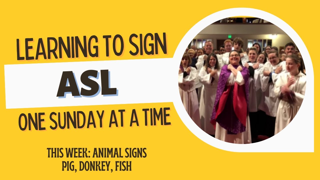 Learning Sign Language | ASL Minute | - YouTube