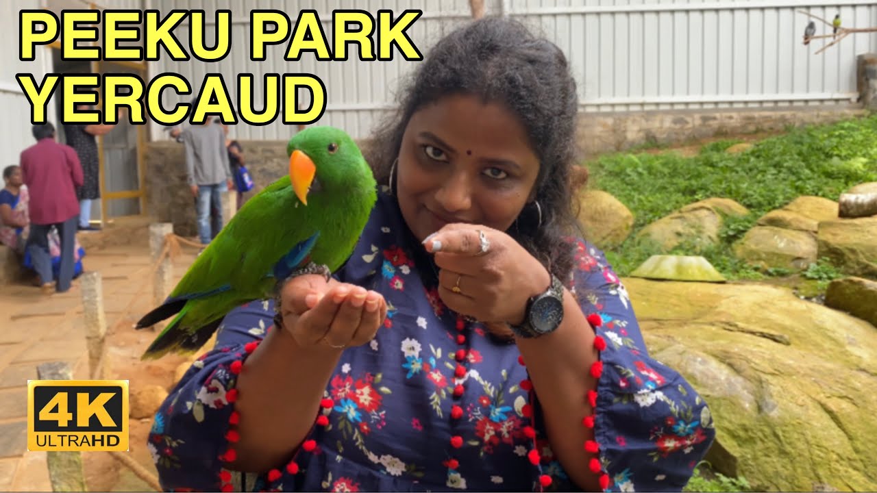 Peeku Park Yercaud - YouTube