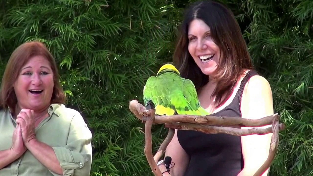 Squeeze those little birdie legs! - YouTube