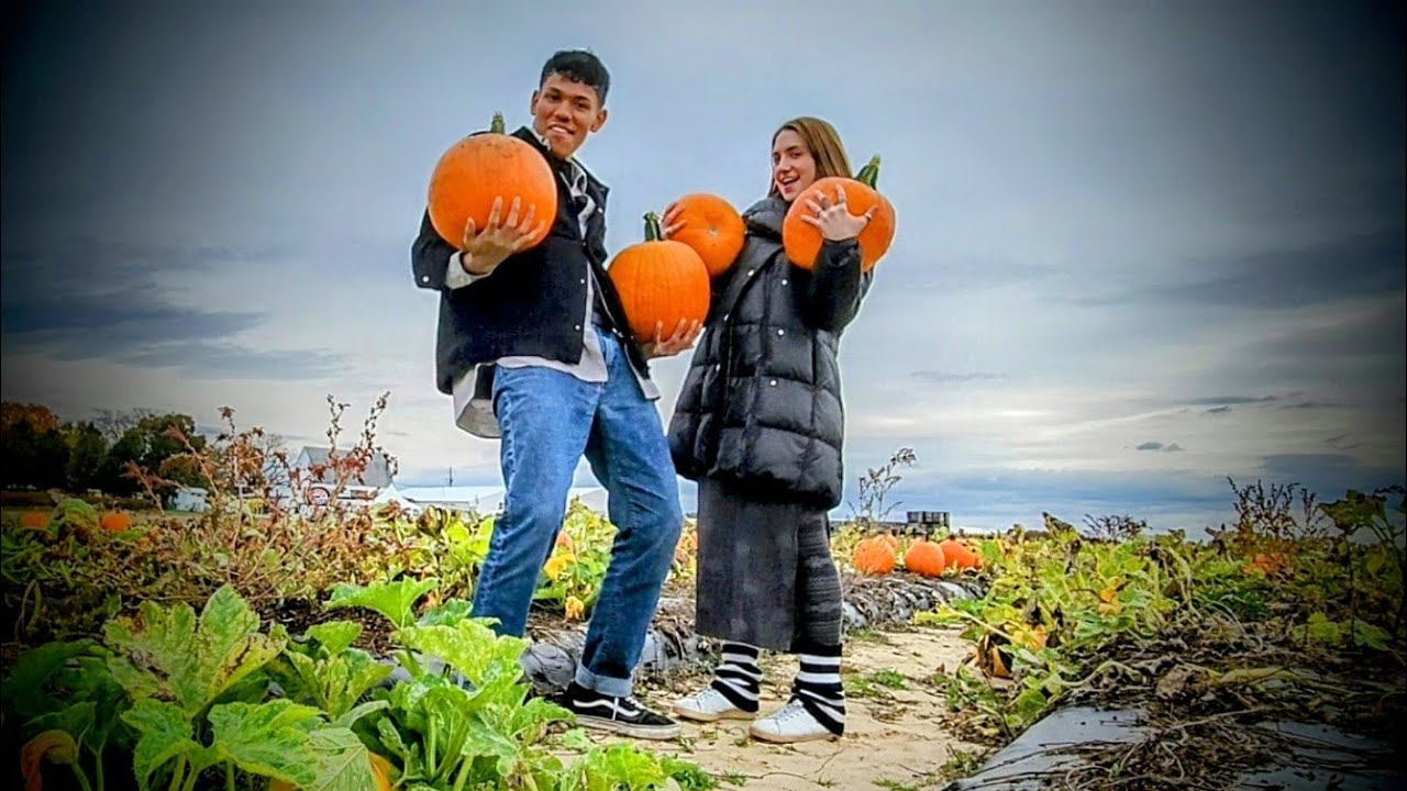 pumpkin pickin - YouTube