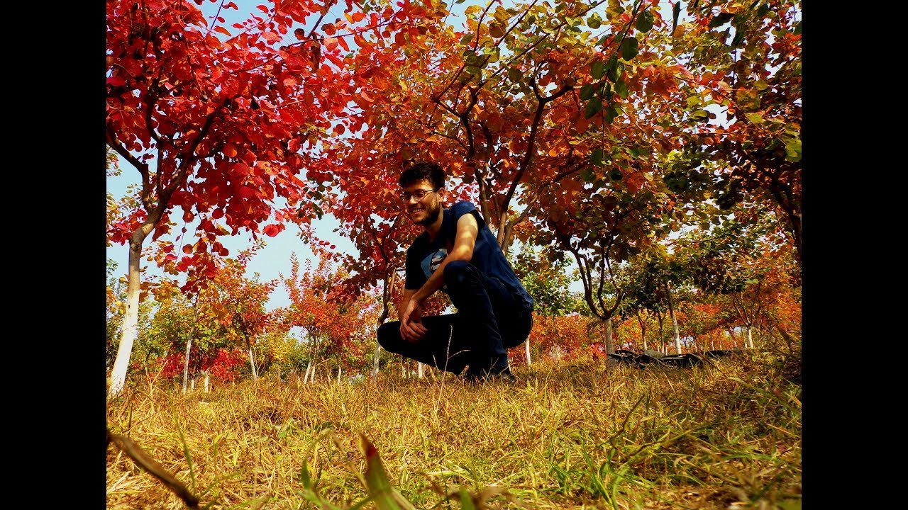 Ocean Sails: Ming graves - YouTube