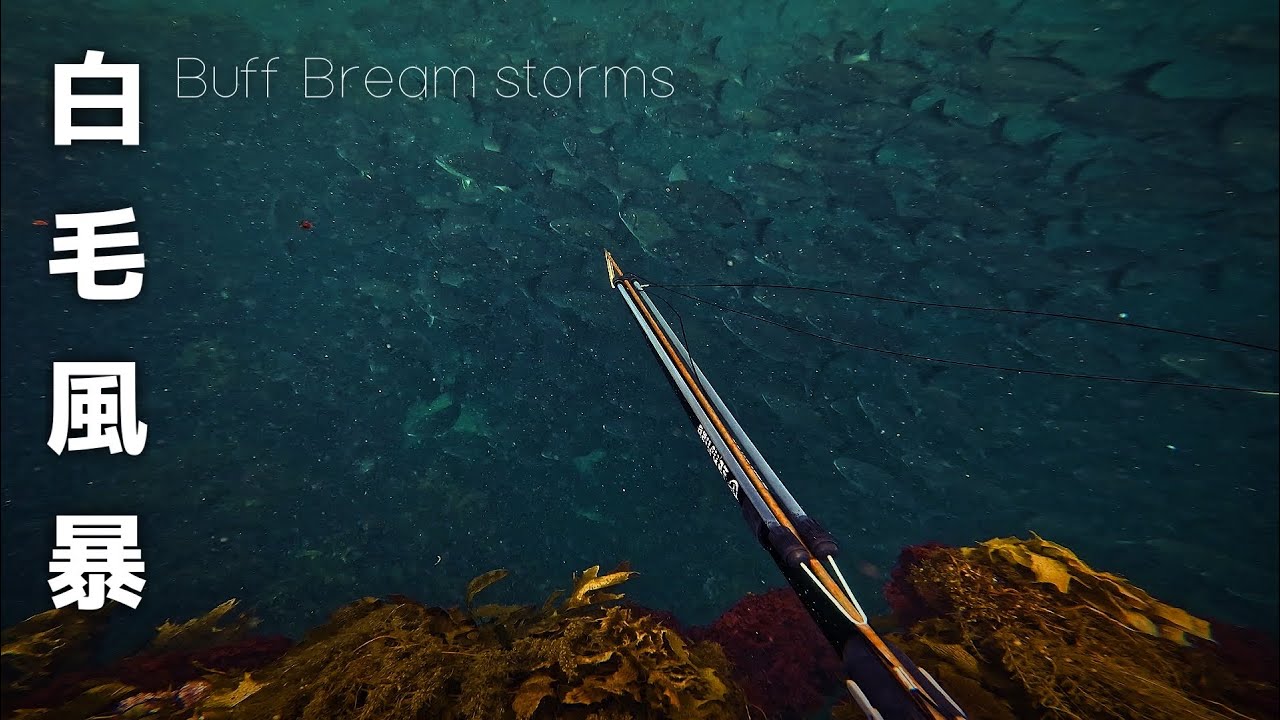 漁獵 Vlog 31 白毛風暴｜Spearfishing vlog 31 Buff Bream storm - YouTube