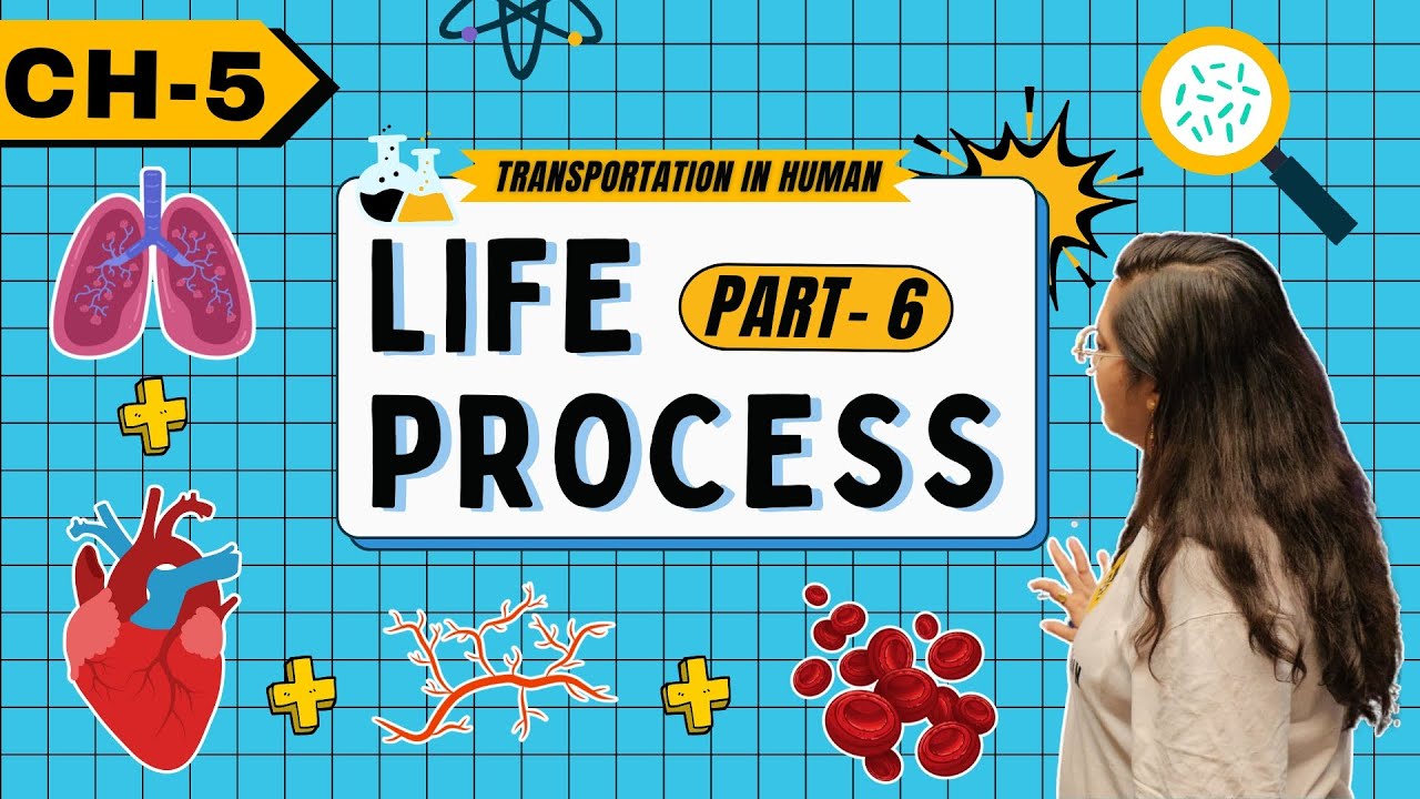 Life process | Part - 6 | Class 10 | Science | Transportation in Human ...