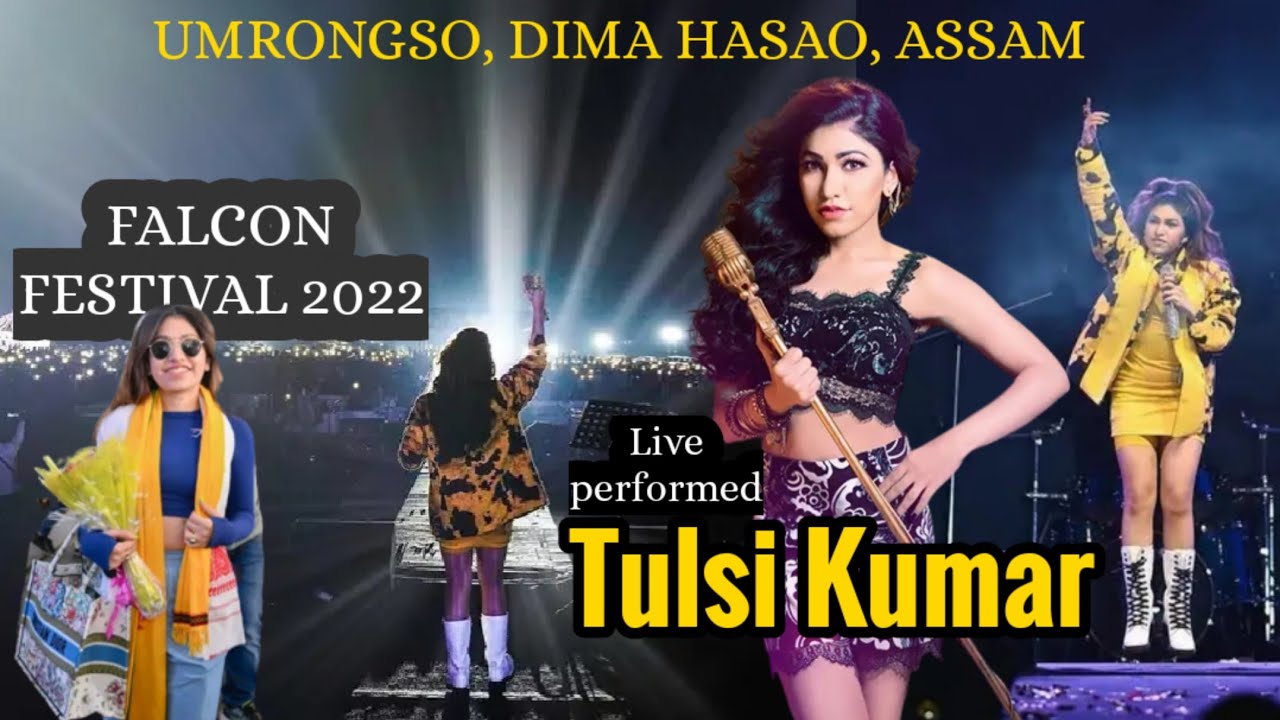 Tulsi Kumar live performed at FALCON FESTIVAL 2022🔥 UMRONGSO, DIMA ...