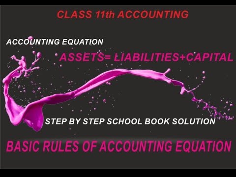 Accounting Equation part 1 CBSE Book - YouTube