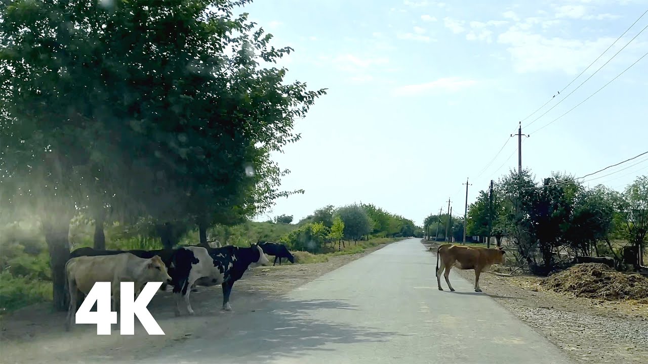 Azerbaijan driving tour / from Baku to Bilasuvar / 2024 JULY / ASMR ...