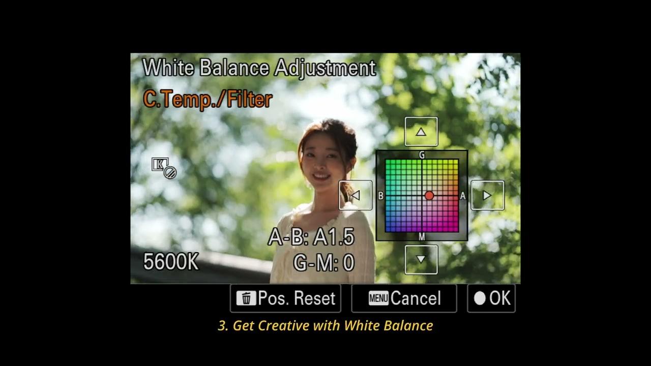 Alpha 7C II | Define Your Style with Customised Creative Look Presets ...