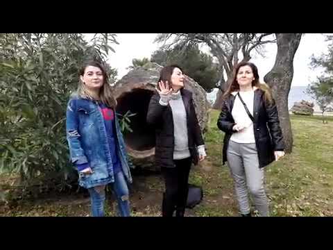 Üzgünüm seni üzdüm ama pişman değilim