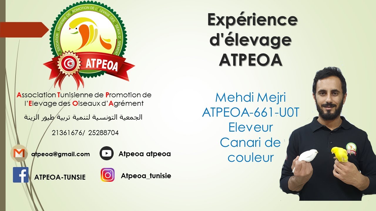 Expérience d'élevage ATPEOA Mehdi Mejri A661-UOT - YouTube