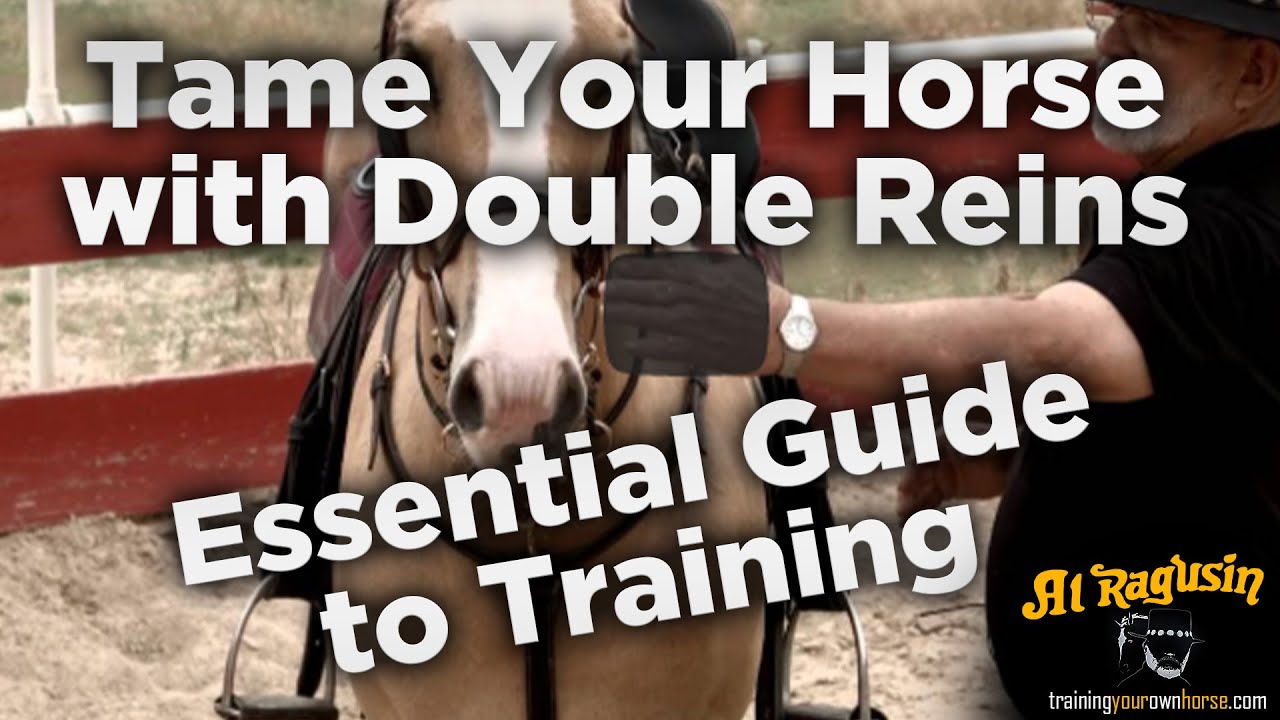 Tame Your Horse with Double Reins: The Essential Guide to Training ...