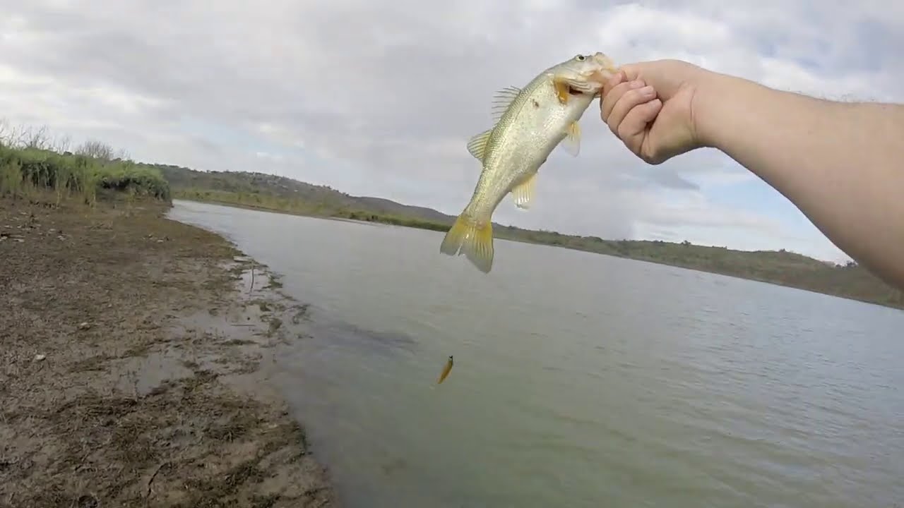 Catching Bass at Hazelmere Dam - YouTube