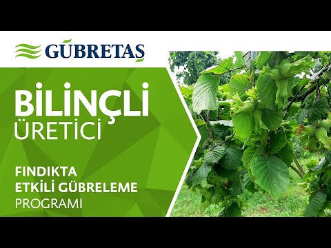 Fındık | Etkili Gübreleme Programı
