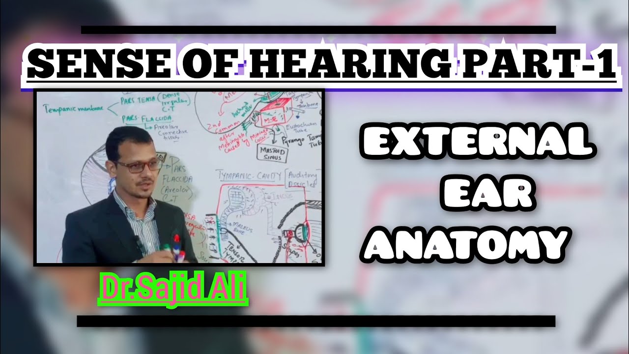 External Ear Anatomy and Physiology Sense Of Hearing in pashto by Dr ...
