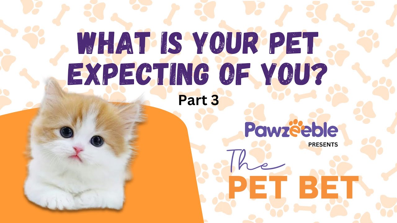 Dr. Komal Keni - Part 3 | Beyond the Stethoscope: Revealing Stories ...