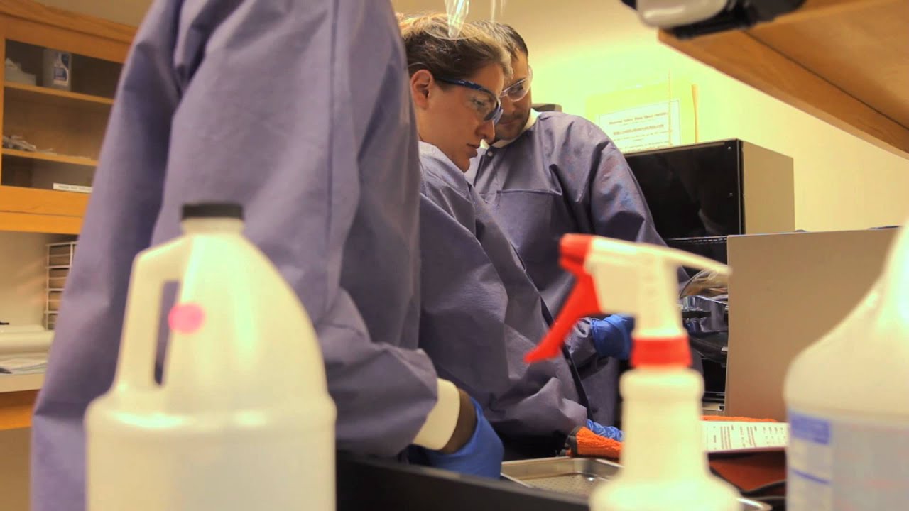 Academics @ CSM: Medical Laboratory Technology - YouTube