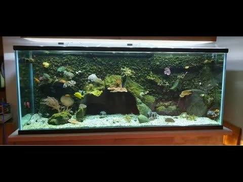 220 gallon black lava rock reef tank build - YouTube