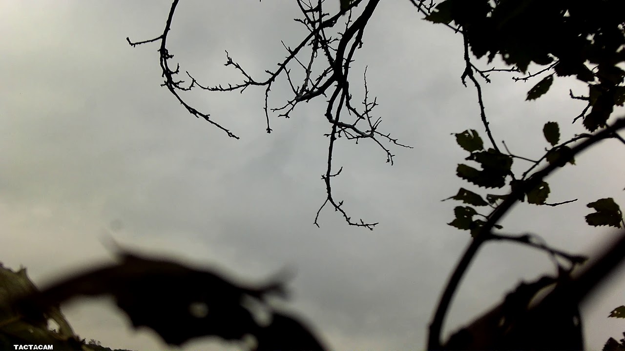 1st flock finish - YouTube