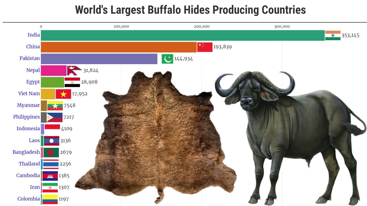 Data Is Beautiful - World's Largest Buffalo Hides Producing Countries ...