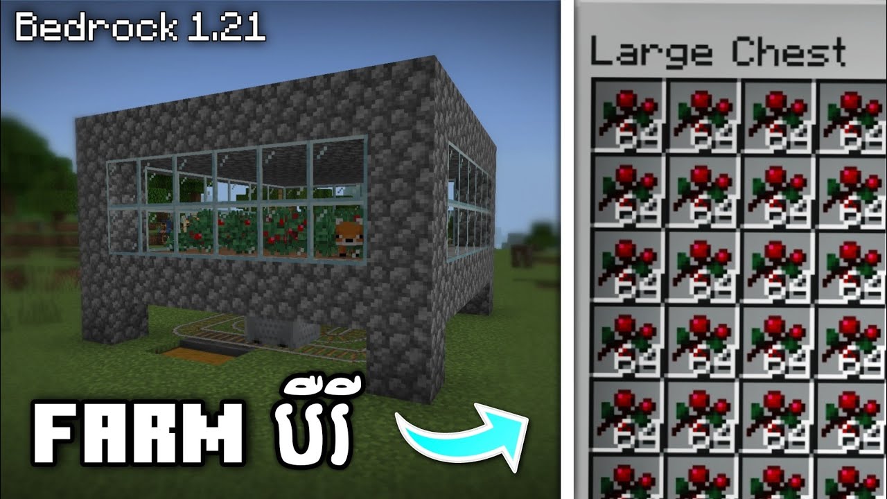 វីធីធ្វើកន្លែងដាំដើមបឺរី ទទួលបានផលងាយៗ 🤩 sweet berry farm Minecraft ...