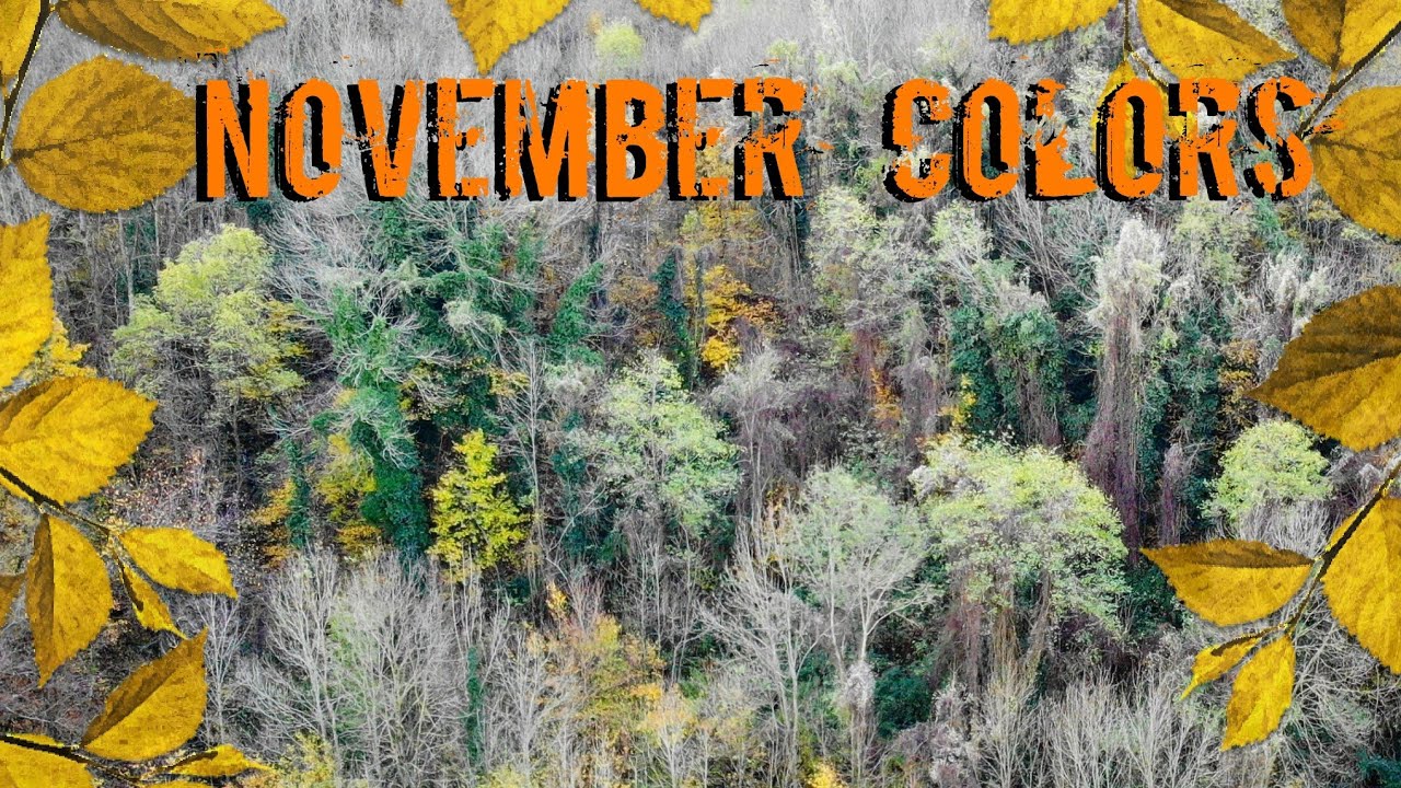 NOVEMBER COLORS - YouTube