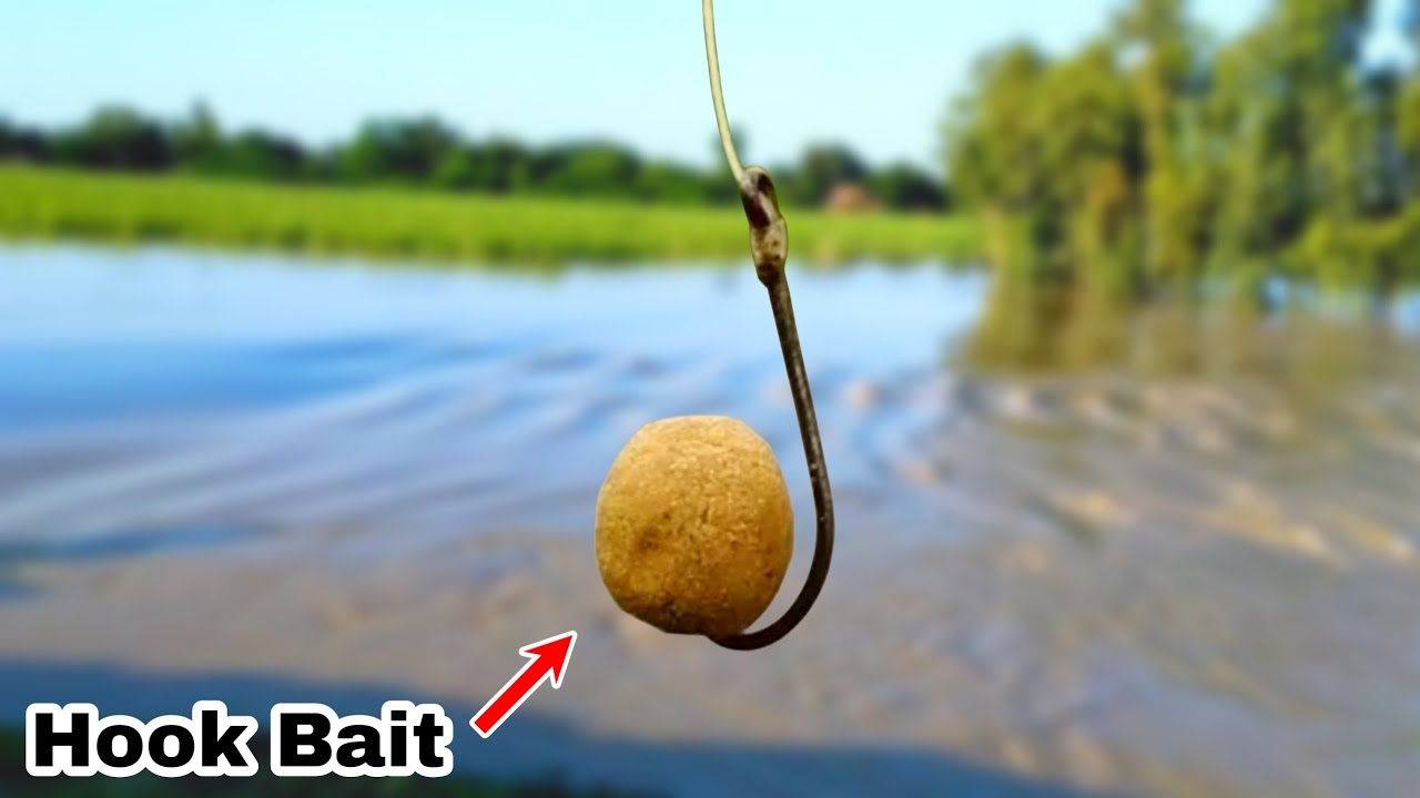 Single hook के लिए इससे अच्छा चारा नहीं मिलेगा | single hook bait for ...